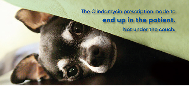 CLINTABS® (clindamycin hydrochloride) Tablets