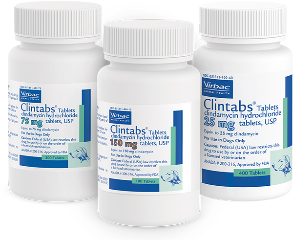 CLINTABS® (clindamycin hydrochloride) Tablets