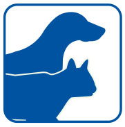 NEPHRODYL™ Synbiotic Capsules