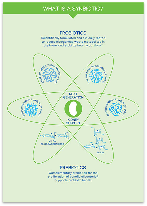 NEPHRODYL™ Synbiotic Capsules