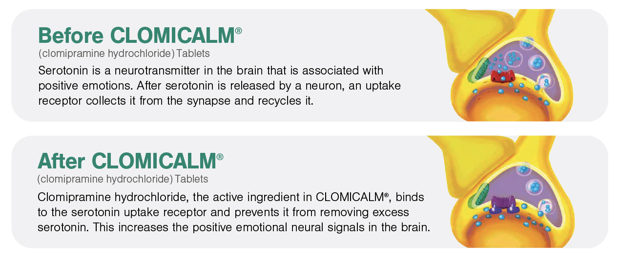 CLOMICALM® (clomipramine hydrochloride)