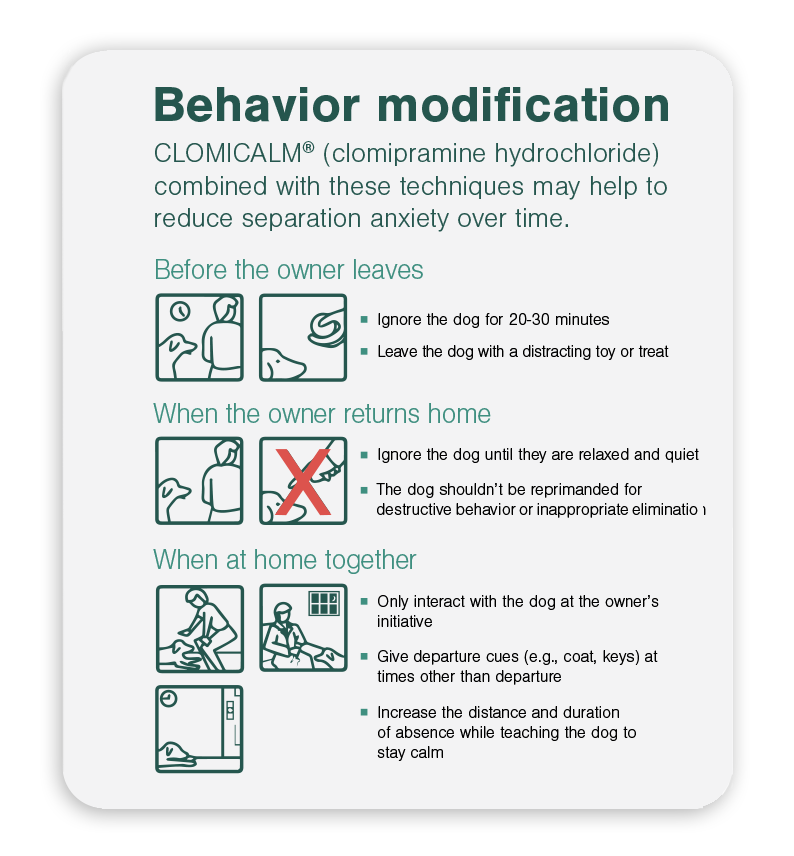 CLOMICALM® (clomipramine hydrochloride)