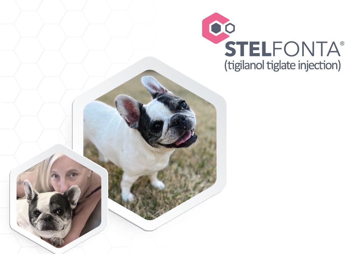 Webinars for Veterinary Professionals